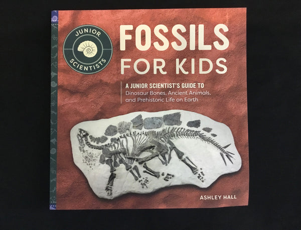 Fossils For Kids – Aurora Fossil Museum Store