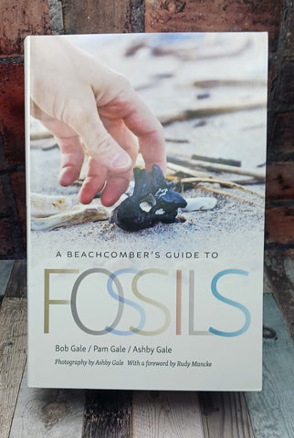 Products – Aurora Fossil Museum Store