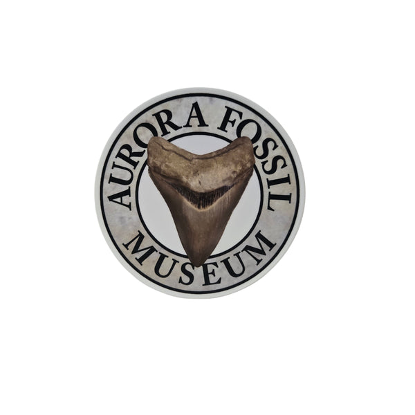 Aurora Fossil Museum Vinyl Logo Sticker – Aurora Fossil Museum Store