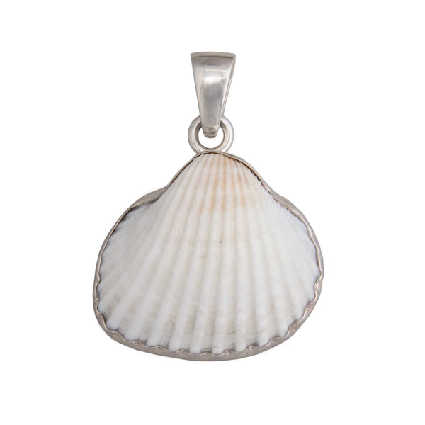Sterling Silver Ark Shell Pendant – Aurora Fossil Museum Store