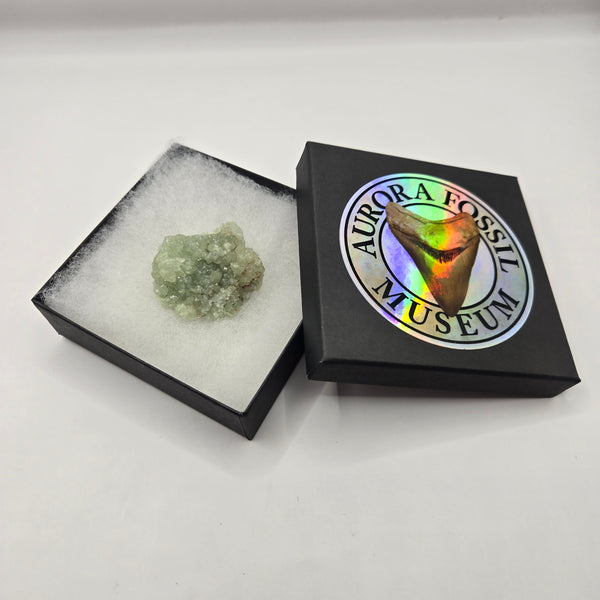 Prehnite – Aurora Fossil Museum Store