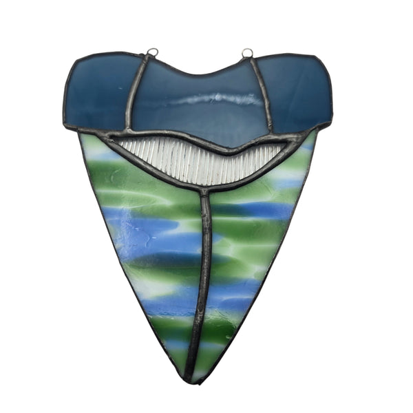 Stained Glass Meg Teeth – Aurora Fossil Museum Store