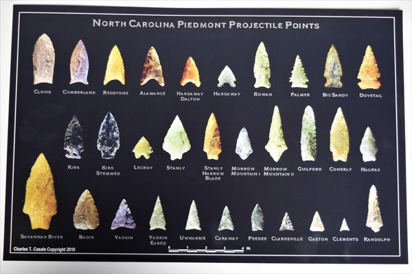 NC Piedmont Projectile Points Poster – Aurora Fossil Museum Store